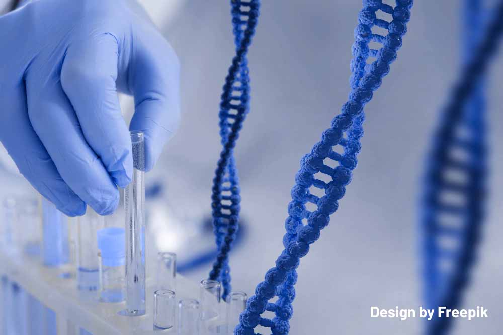 Approcci molecolari per l'analisi del microbiota intestinale ... Approcci molecolari per l'analisi del microbiota intestinale ...